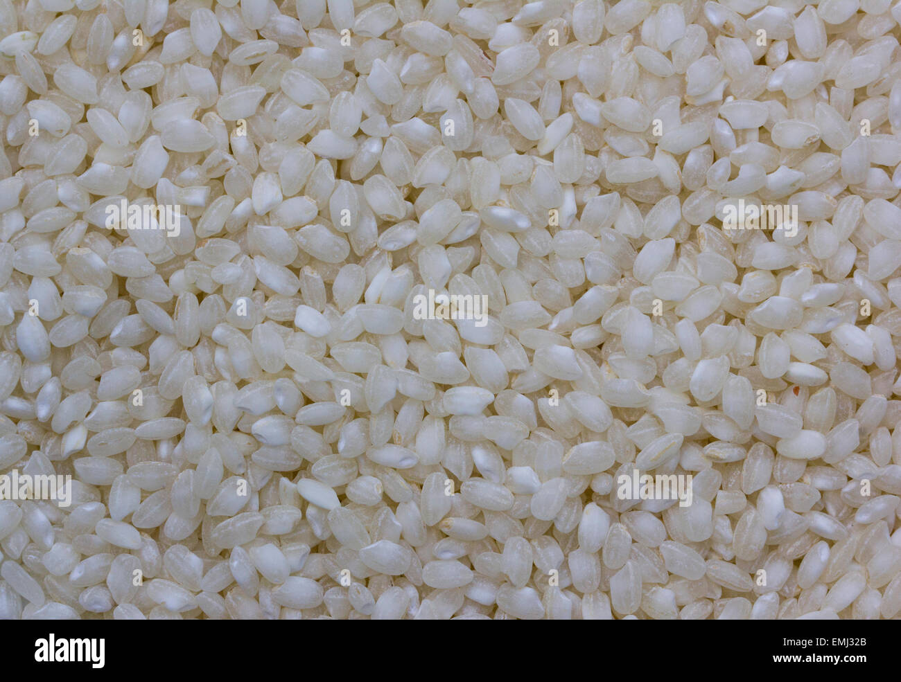 Starch grain Banque de photographies et d’images à haute résolution - Alamy