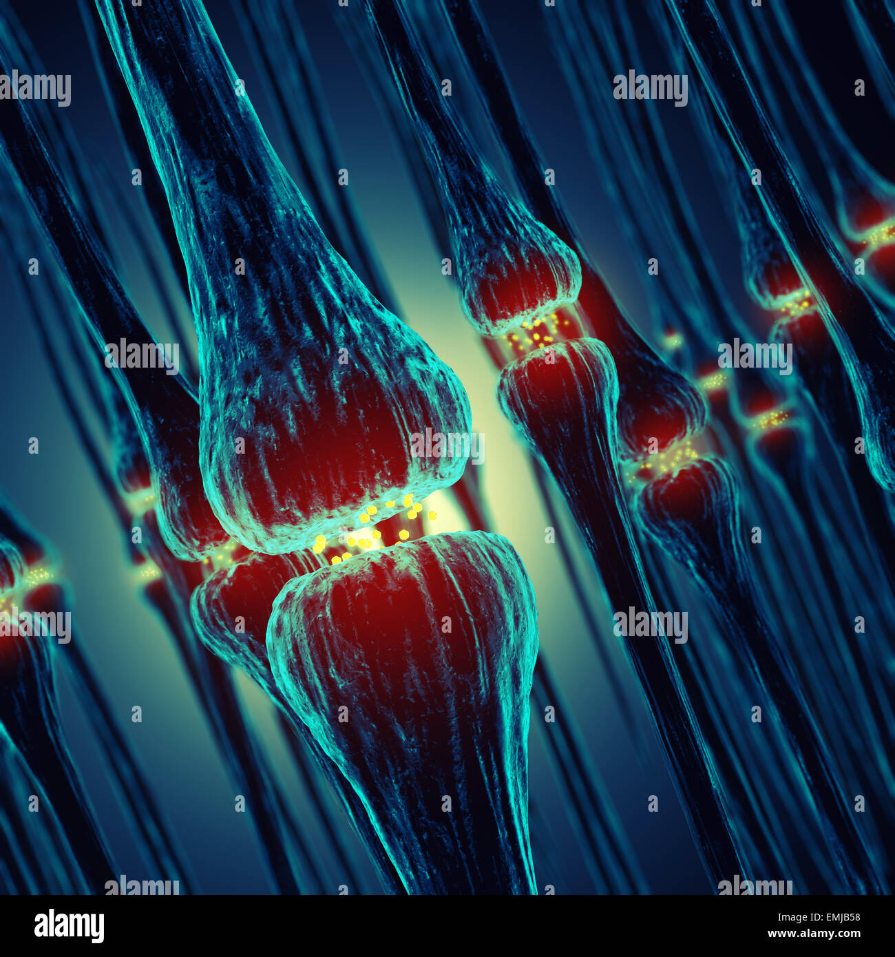 Synapses Neuronales Du Cerveau Banque d'image et photos - Alamy