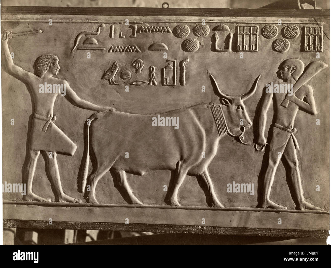 Apis bull egypte ancienne Banque de photographies et d’images à haute ...