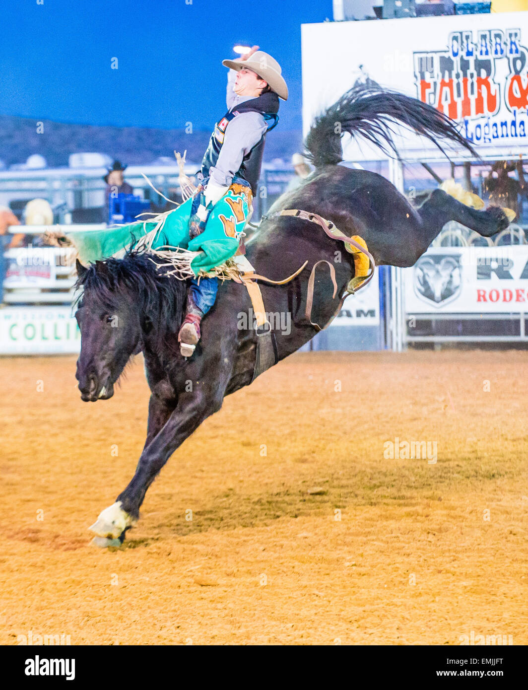 Cowboy participant à un cheval compétition à la Clark County Fair and ...