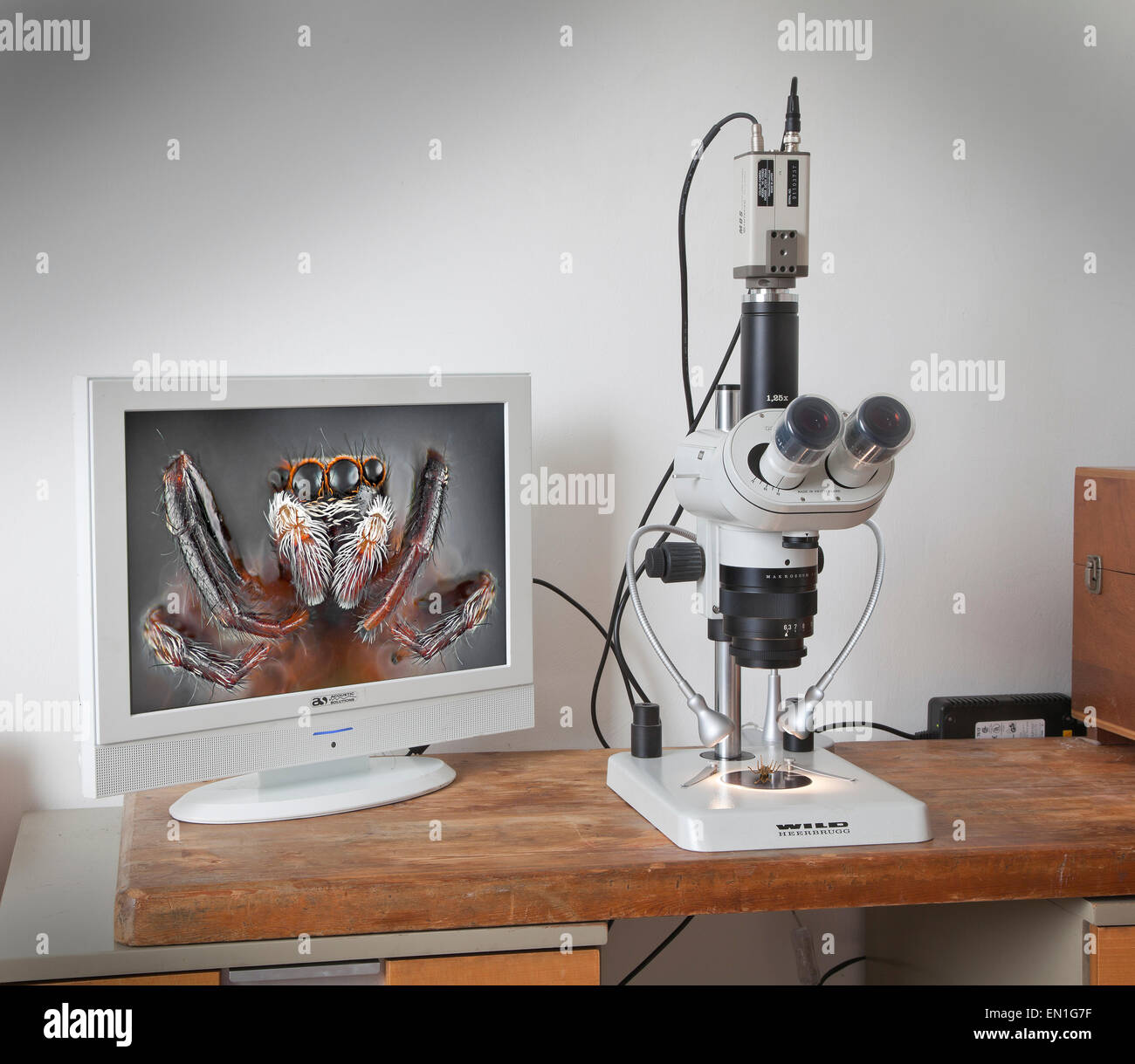 Wild Heerbrugg Leica M420 macroscope microscope avec caméra 5:1 ...