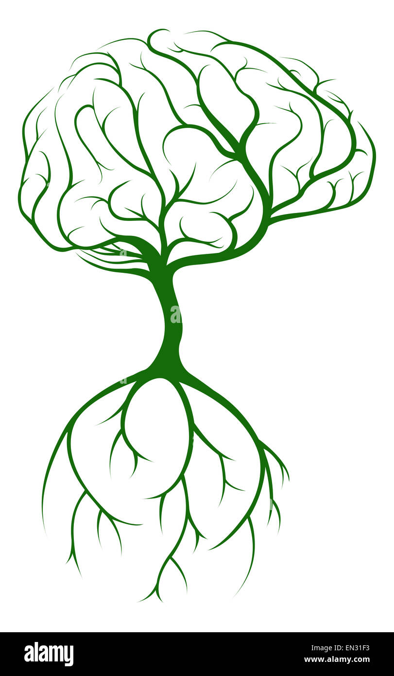 Arbre généalogique cerveau concept d'un arbre qui pousse dans la forme ...