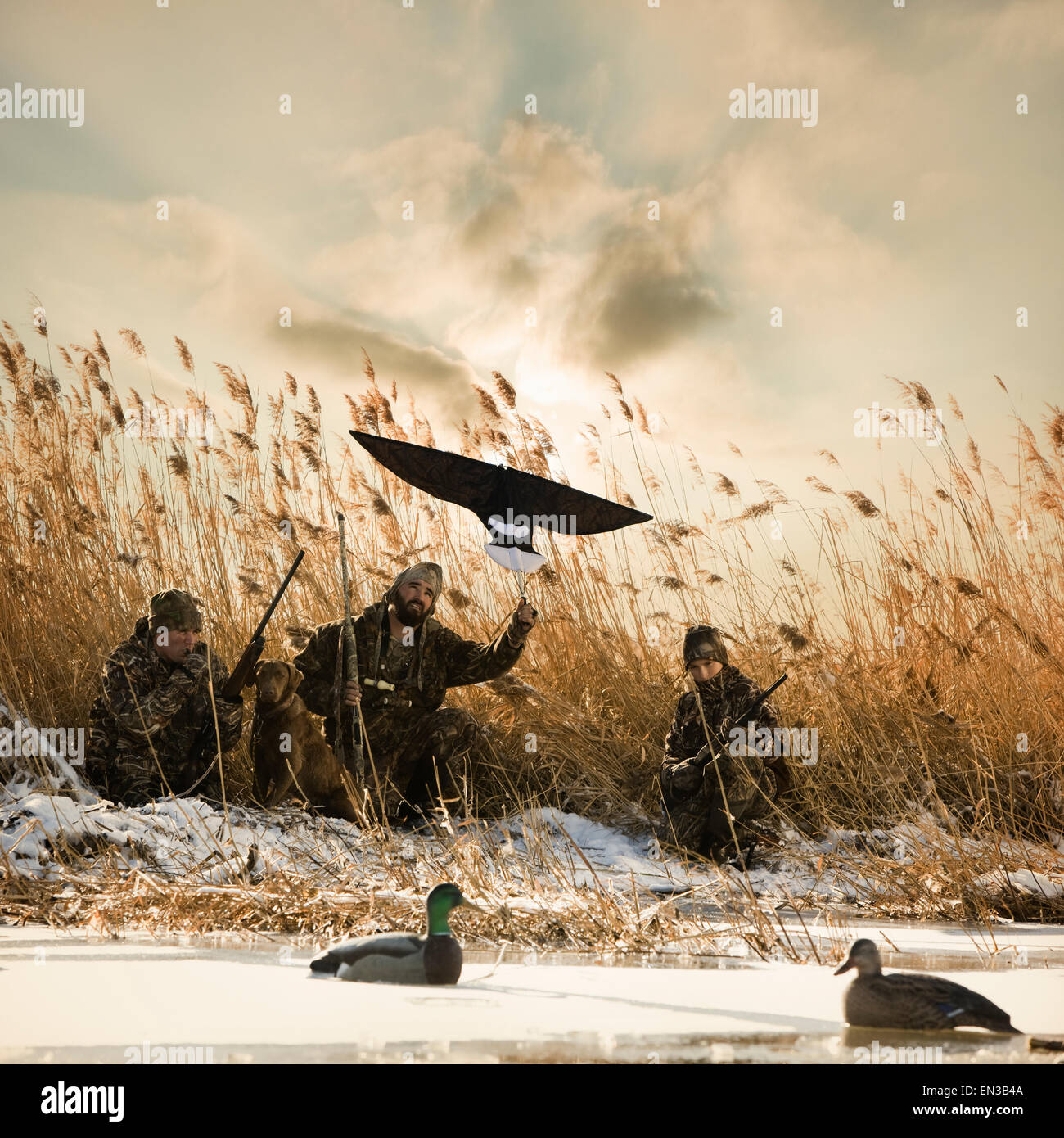 Chasse aux canards Banque de photographies et d’images à haute ...