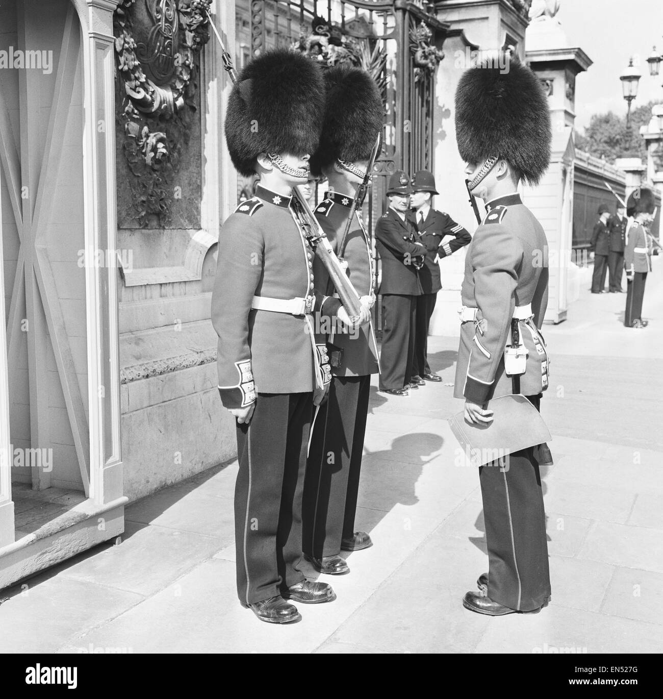 Coldstream guards Banque de photographies et d’images à haute ...