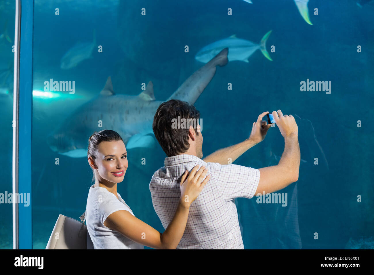 Couple regardant requin Banque de photographies et d’images à haute résolution - Alamy