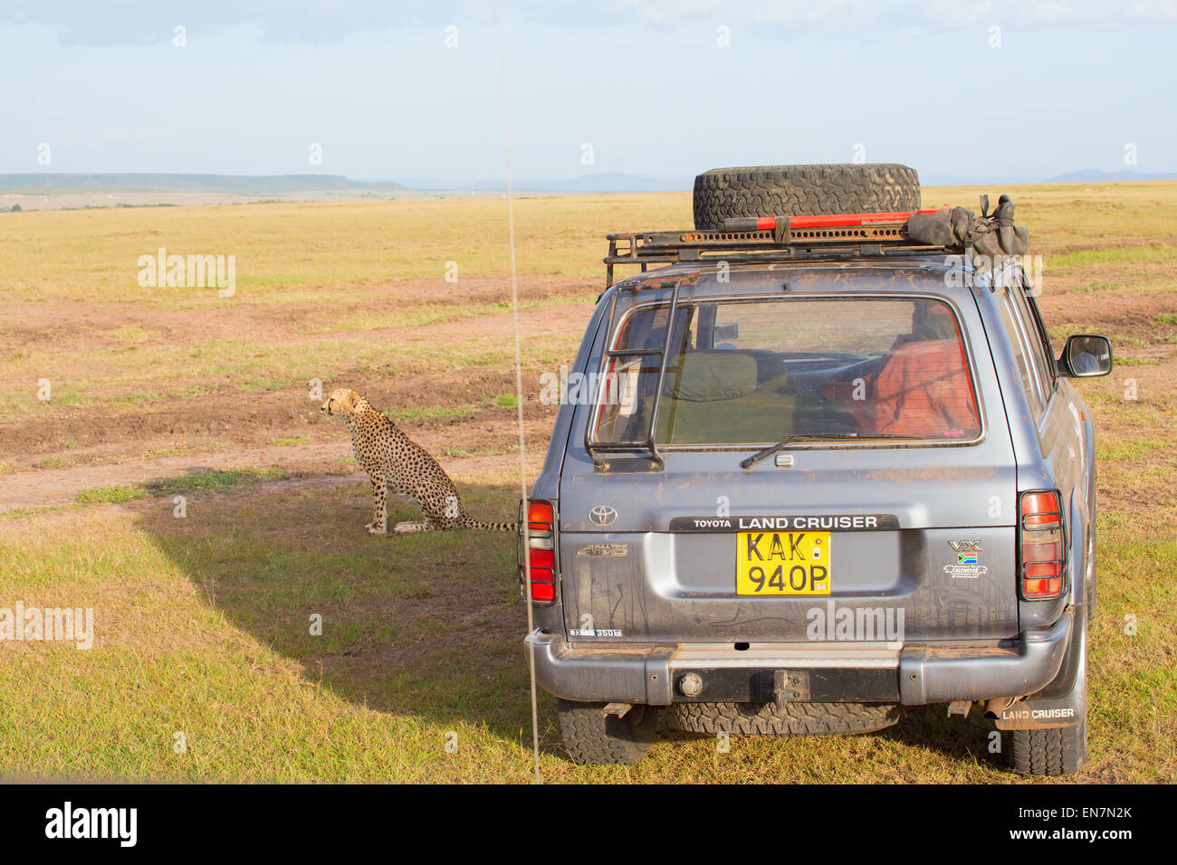 Toyota land cruiser safari vehicle Banque de photographies et d’images ...