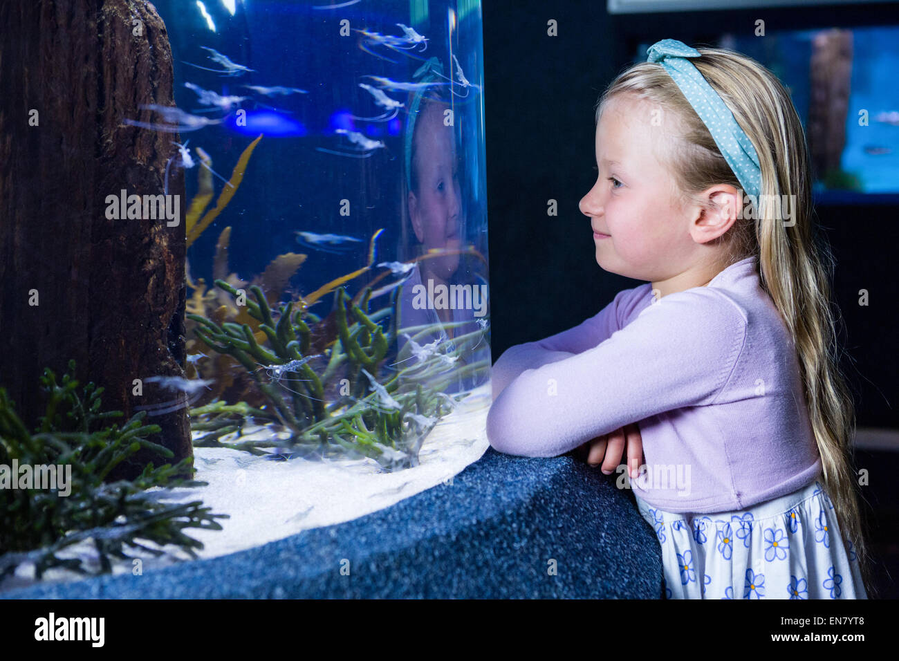 Happy fish Banque de photographies et d’images à haute résolution - Alamy