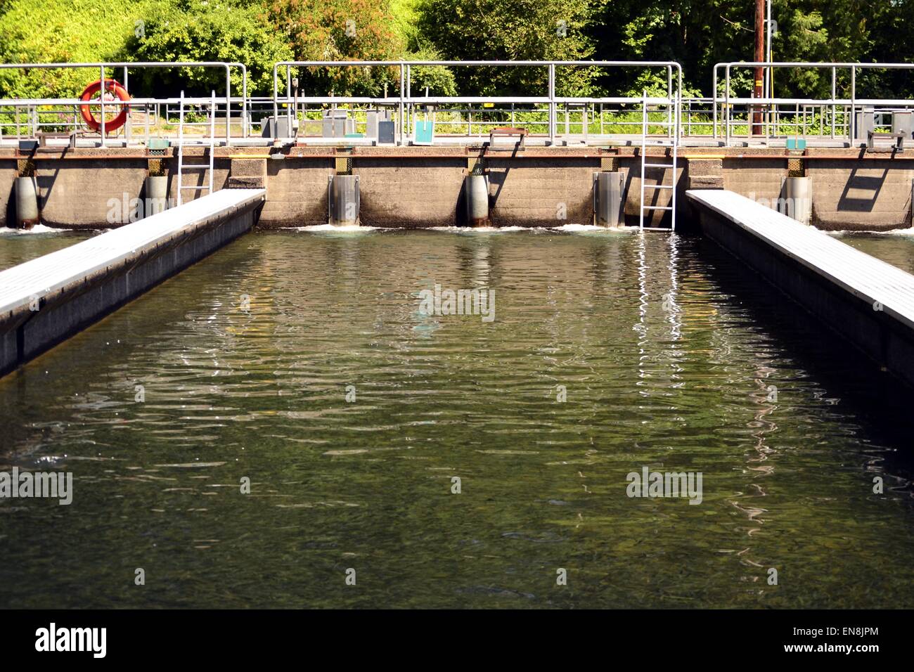 Fish hatchery Banque de photographies et d’images à haute résolution ...