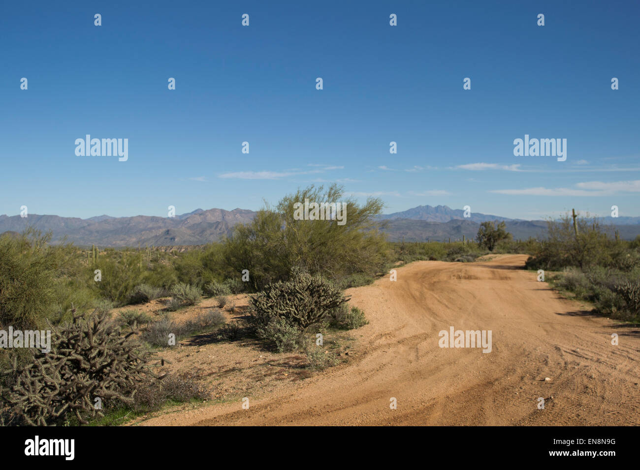 Un chemin de terre à travers le désert du sud-ouest des vents Photo ...