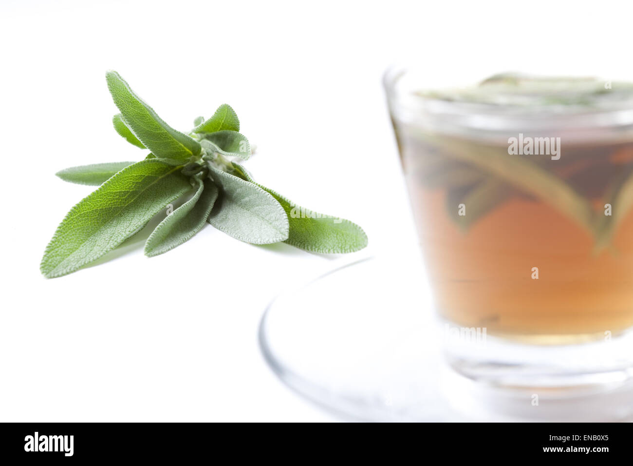 Gros plan du thé de sauge à l'intérieur du verre transparent, avec ...