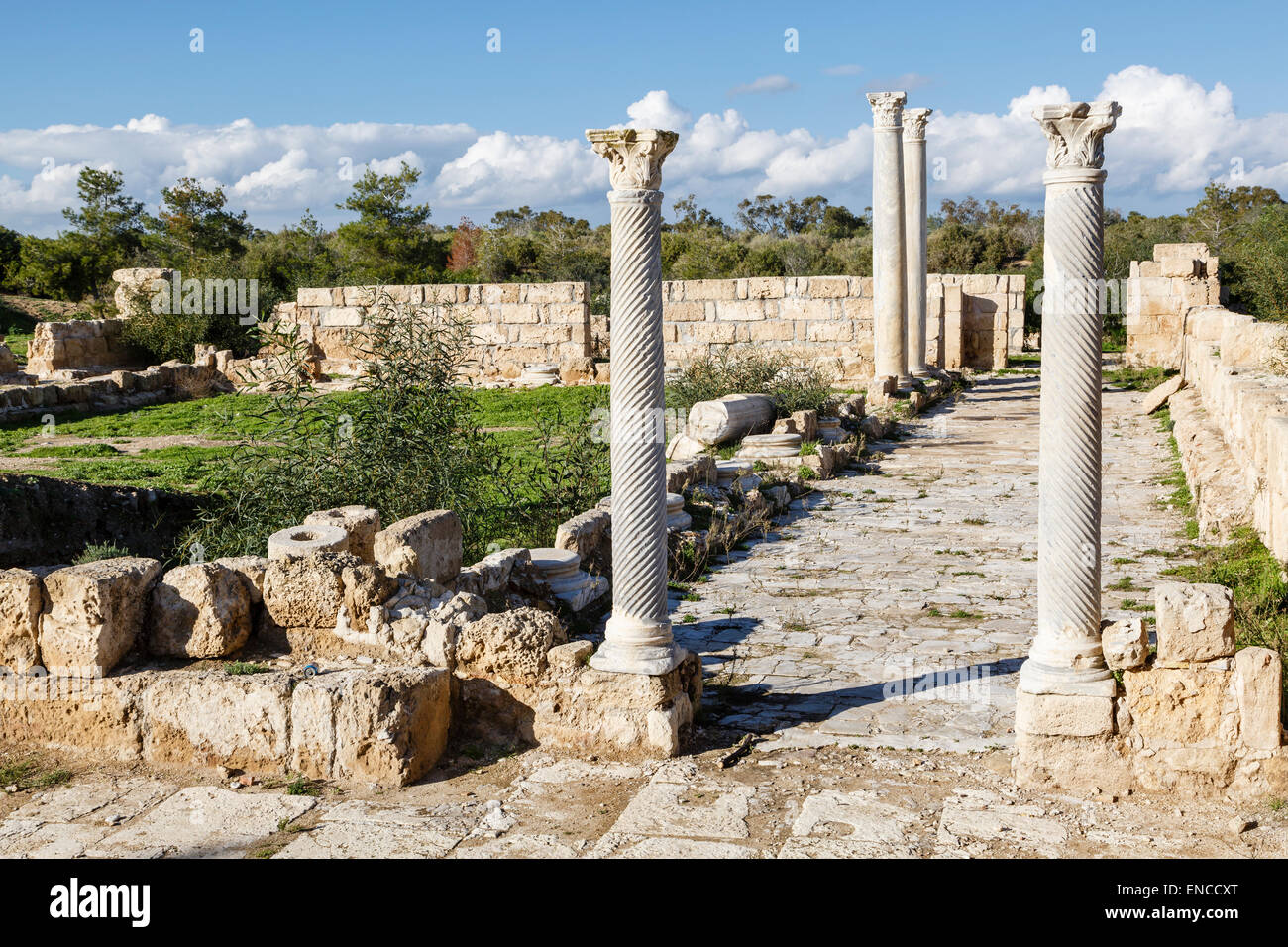 Salamine Anciennes Ruines Romaines Du Nord De Chypre Banque d'image et ...