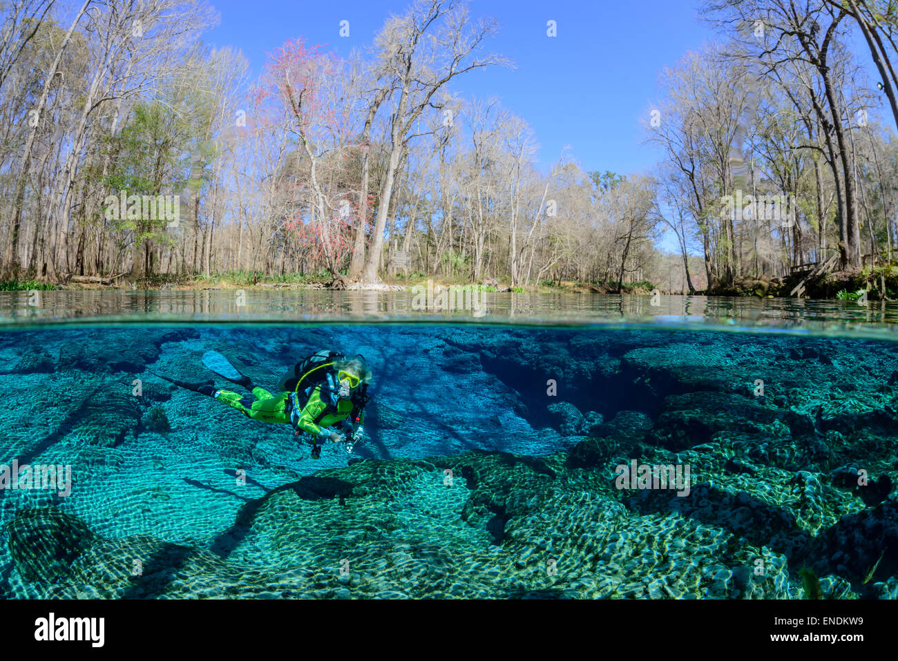 Source principale de ginnie springs Banque de photographies et d’images ...