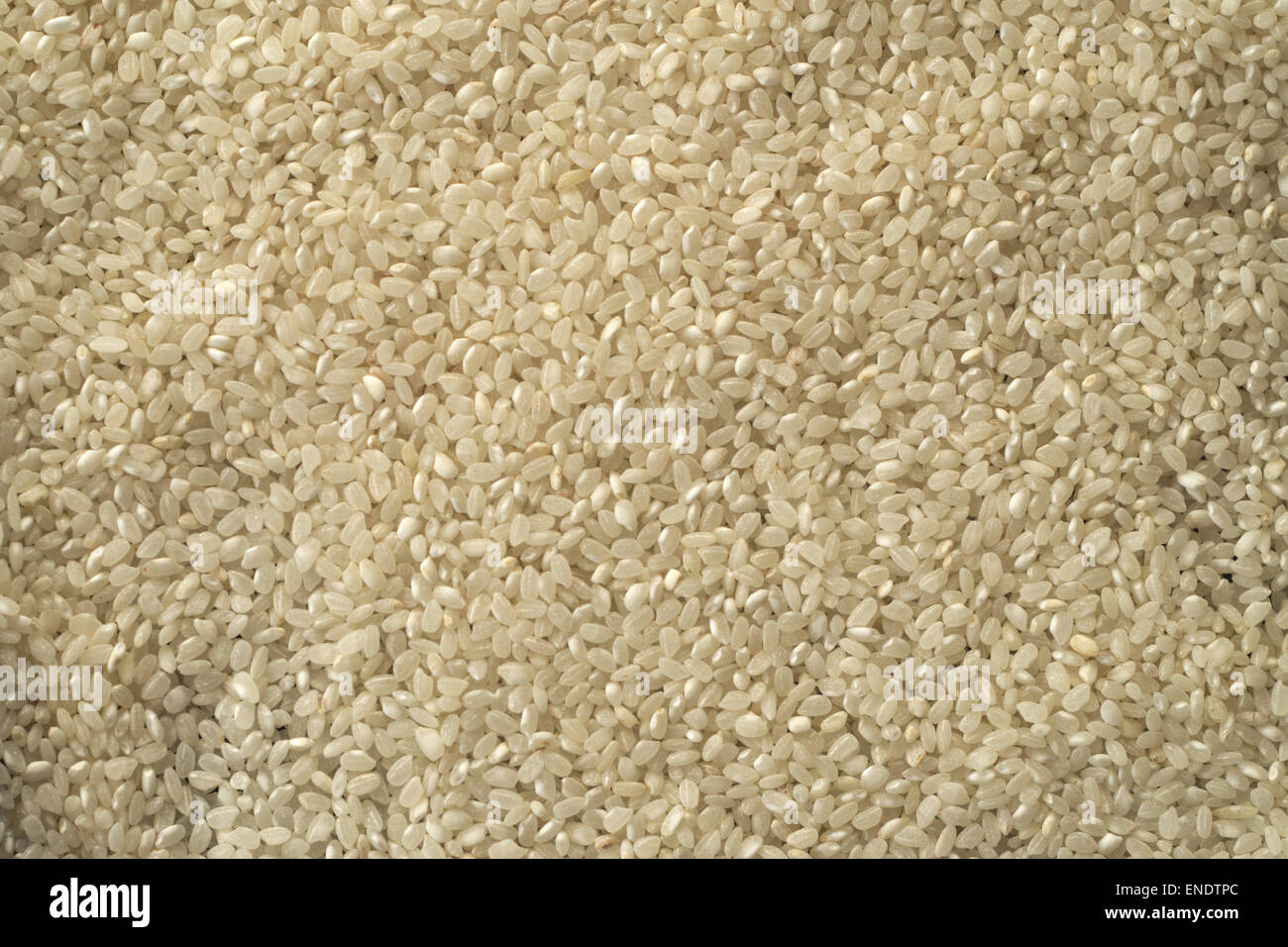 Grain court Banque de photographies et d’images à haute résolution - Alamy