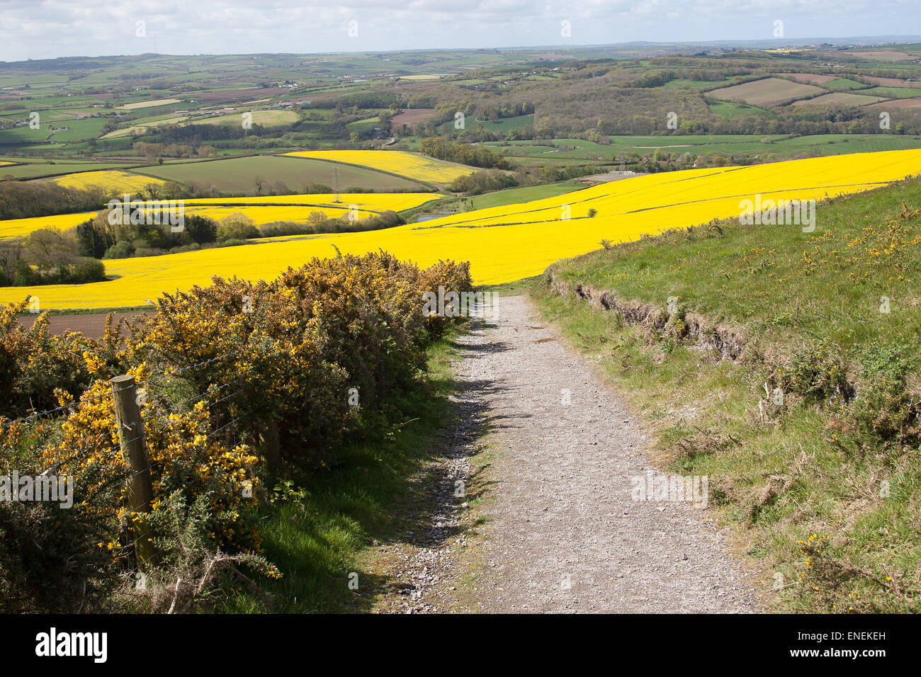 Codden hill Banque de photographies et d’images à haute résolution - Alamy