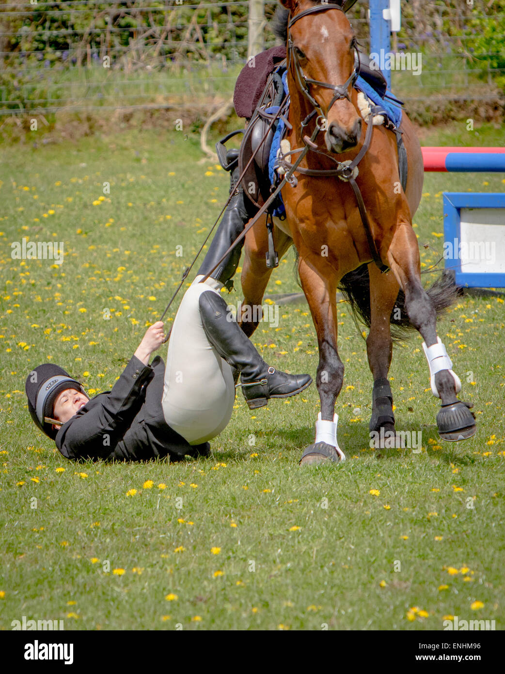 Chute de cheval Banque de photographies et d’images à haute résolution ...