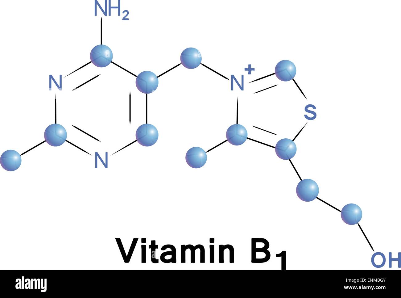 La vitamine B1 formule chimique, la structure de la molécule, vector ...