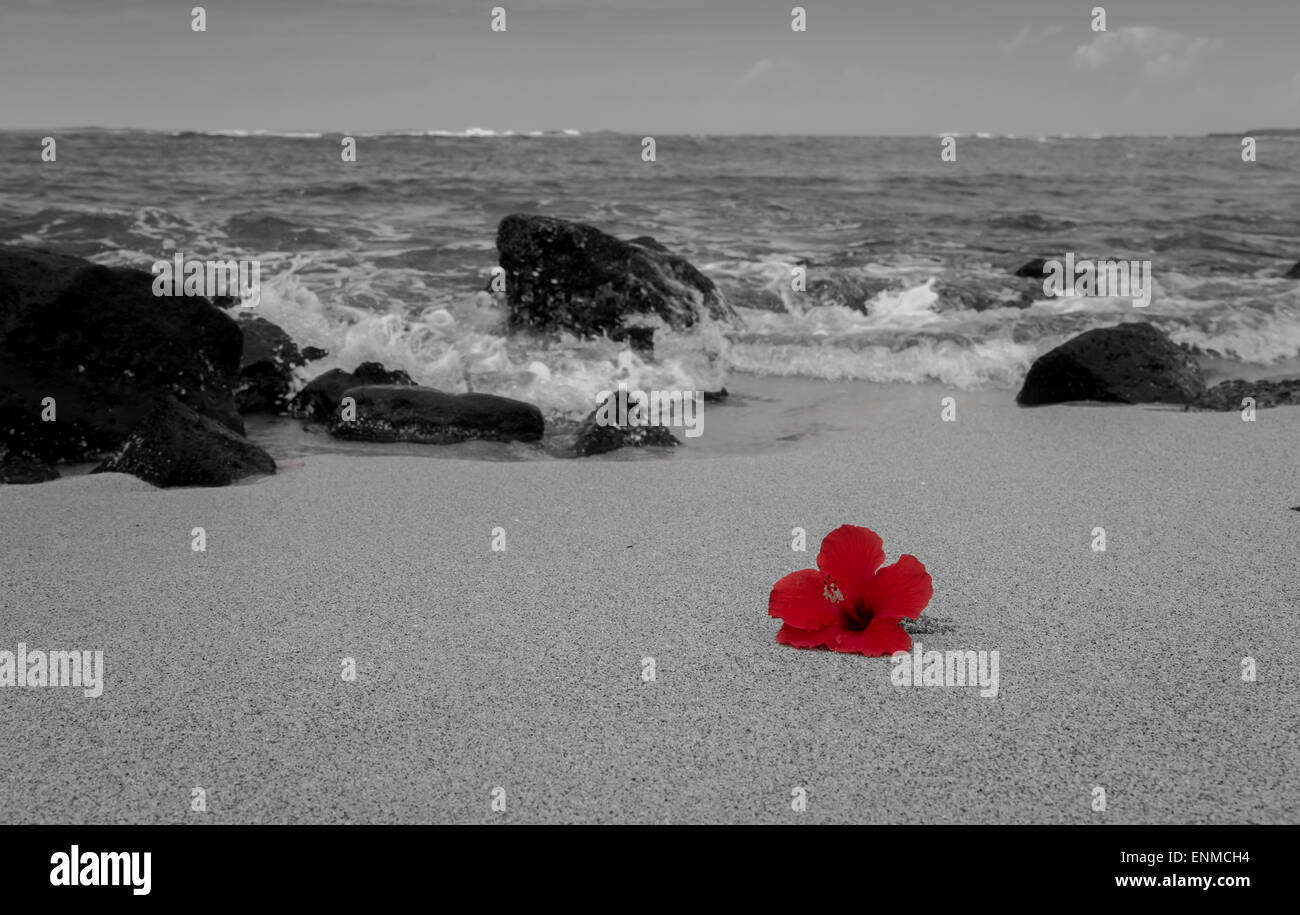 Fond de plage noir et blanc Banque de photographies et d’images à haute ...