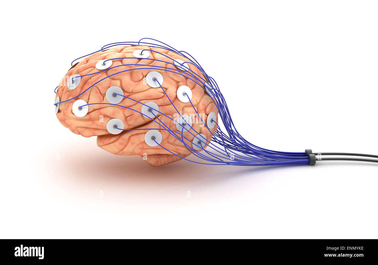 Polygraphe informatique Banque de photographies et d’images à haute ...