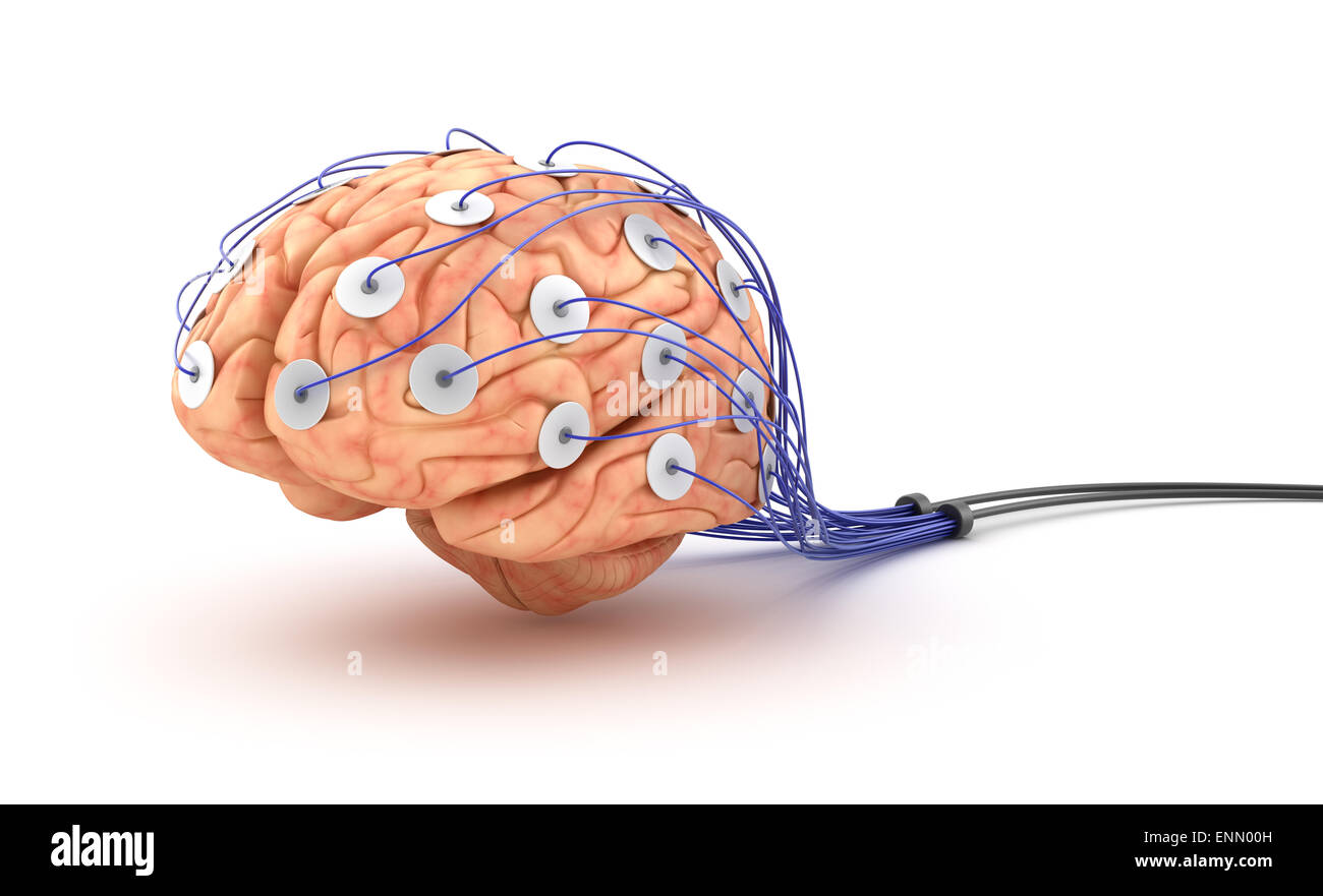 Polygraphe informatique Banque de photographies et d’images à haute ...