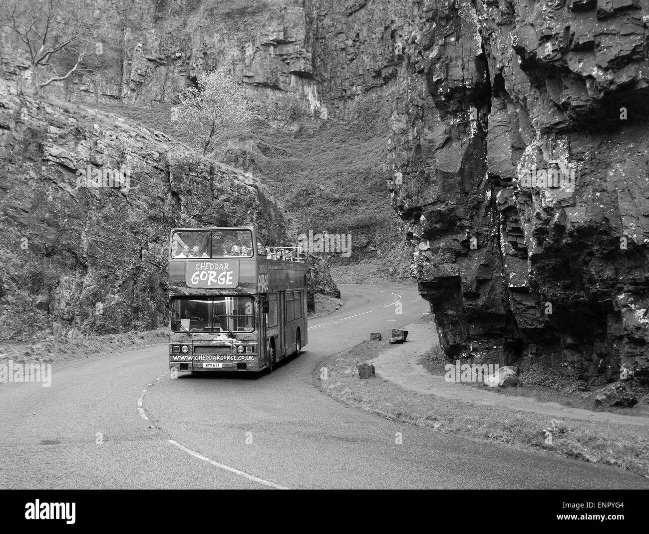 Open top bus touristique dans les gorges de Cheddar, dans le Somerset ...
