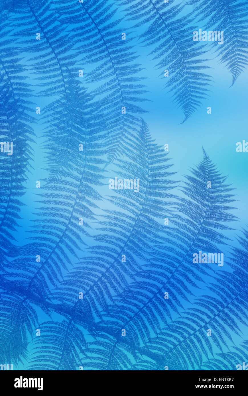 Feuilles de palmier rouge Banque de photographies et d’images à haute ...