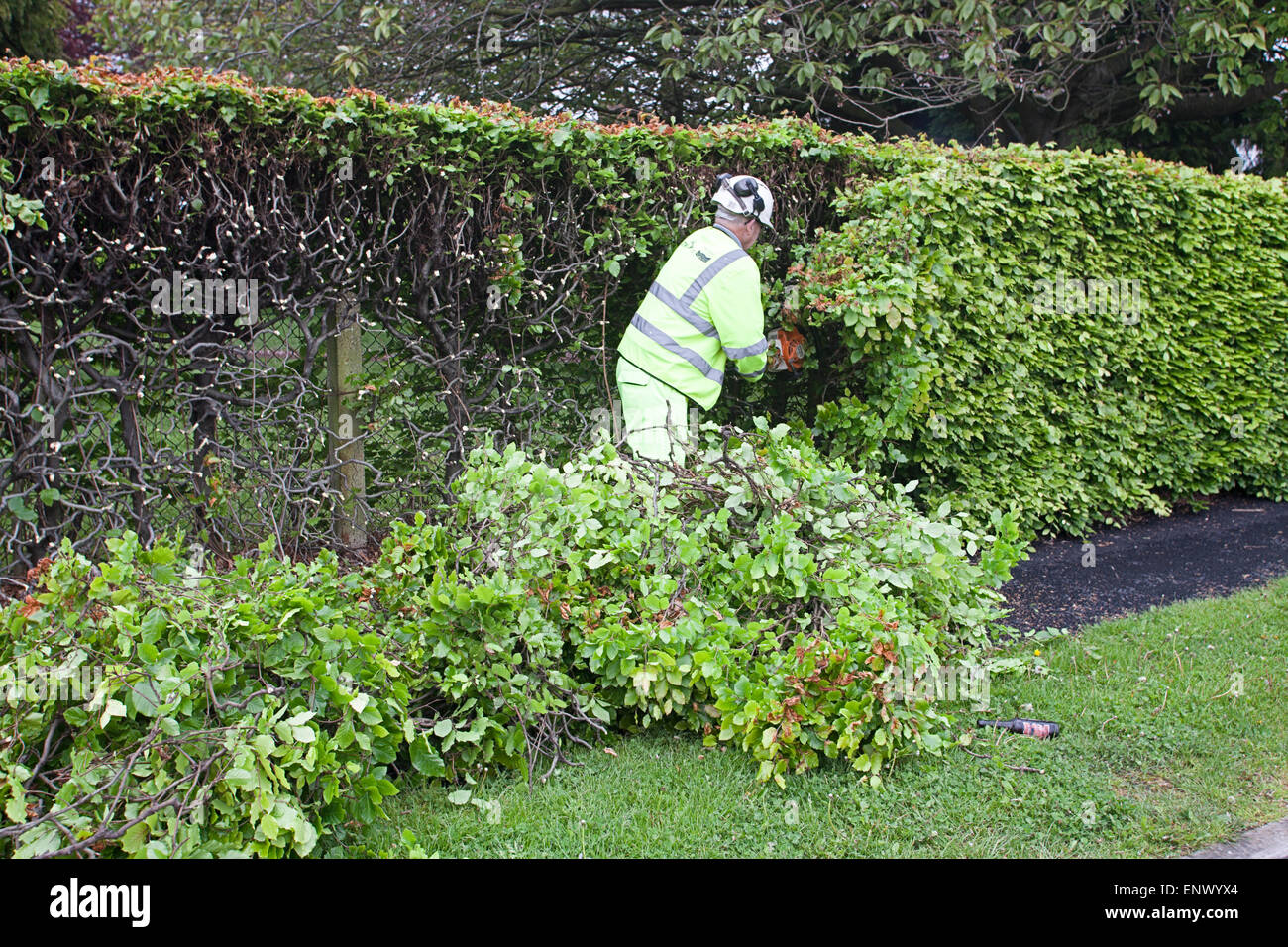 Hedge cutter Banque de photographies et d’images à haute résolution - Alamy