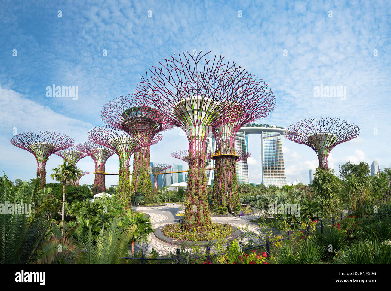 Supertrees gardens bay marina sands Banque de photographies et d’images ...