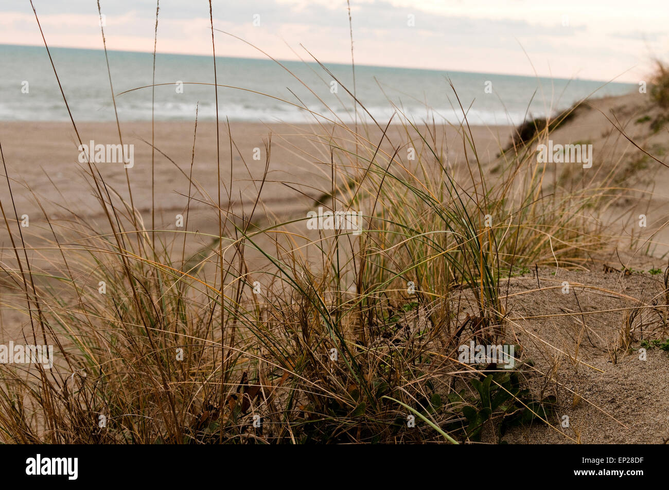 Traces de pas sur une dune de sable Banque de photographies et d’images ...