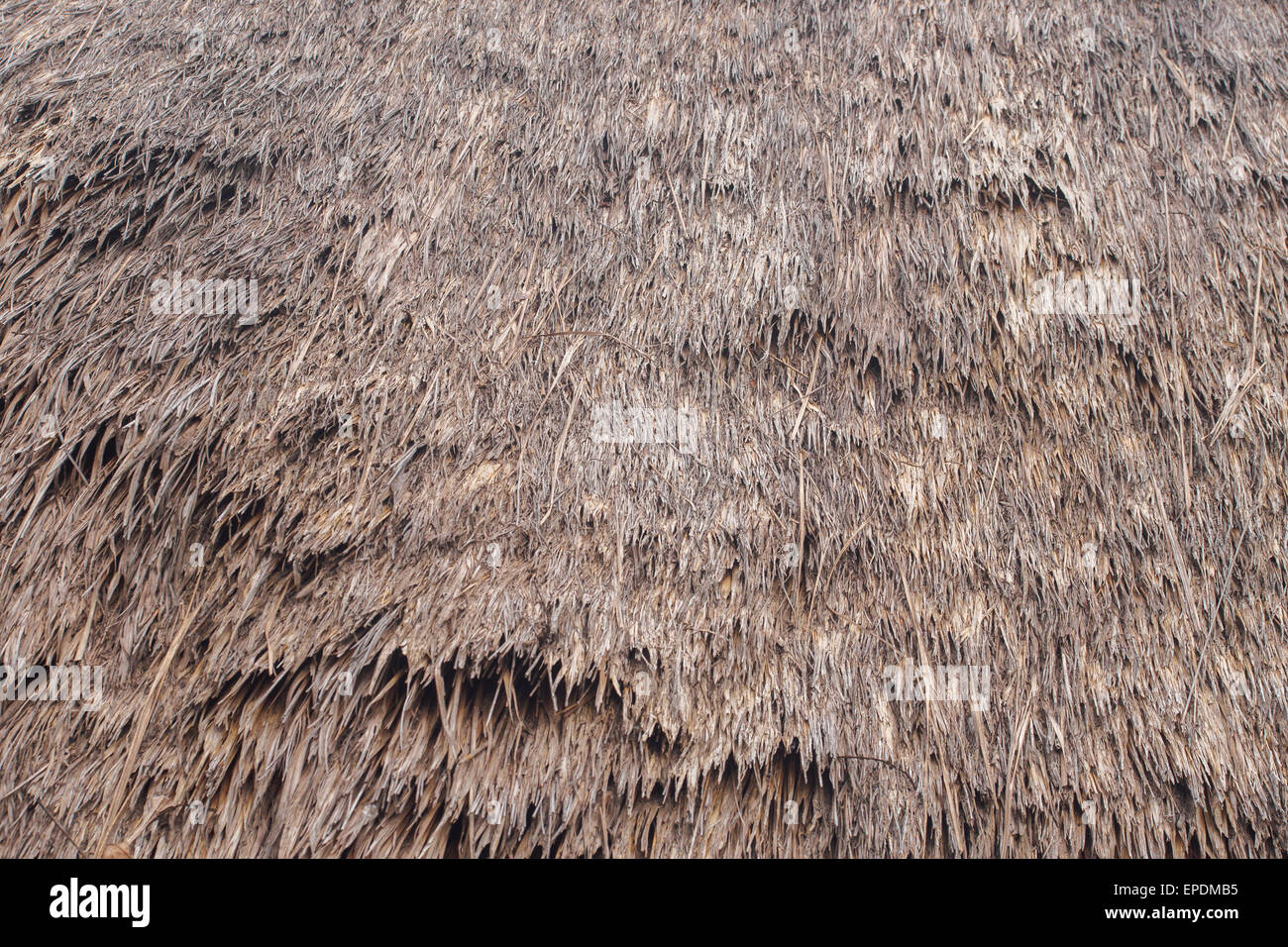 Texture de chaume Banque de photographies et d’images à haute ...