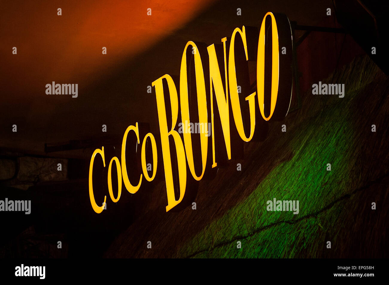 Cocco bongo Banque de photographies et d’images à haute résolution - Alamy
