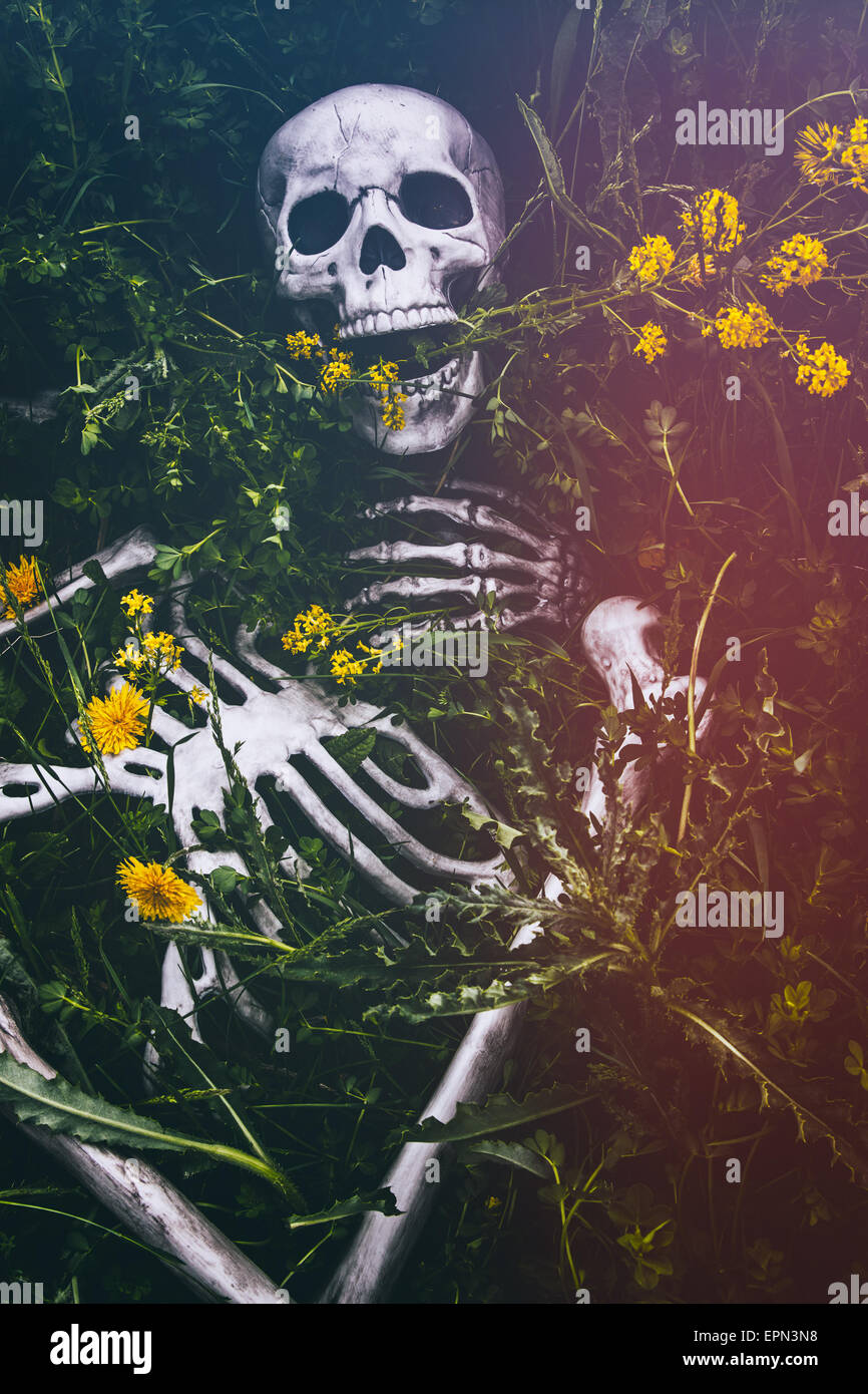 Cadavre humain décomposé Banque de photographies et d’images à haute ...