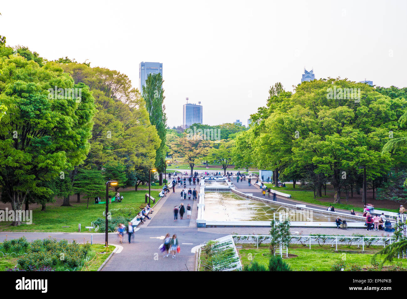 Yoyogi park Banque de photographies et d’images à haute résolution - Alamy