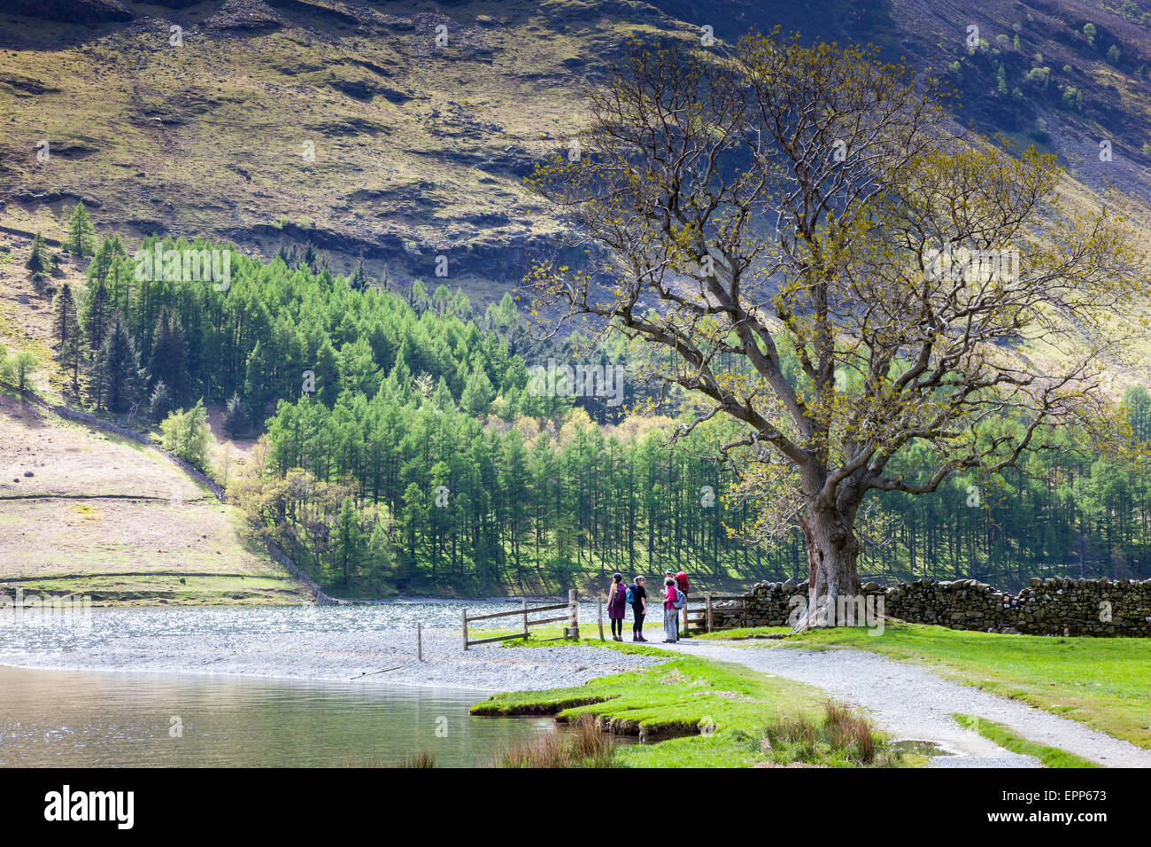Chemin autour du lac buttermere Banque de photographies et d’images à ...