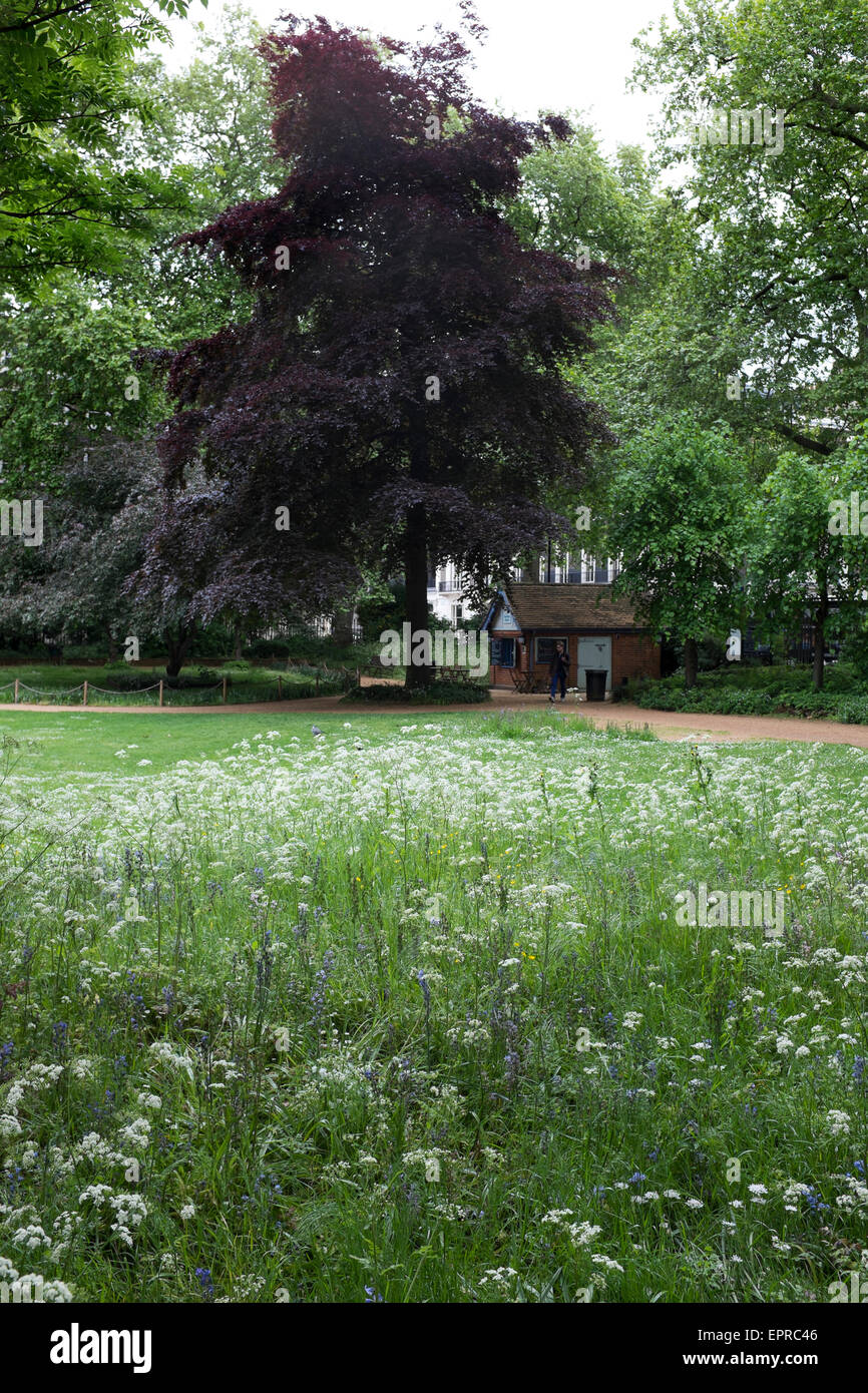 Gordon square gardens Banque de photographies et d’images à haute ...