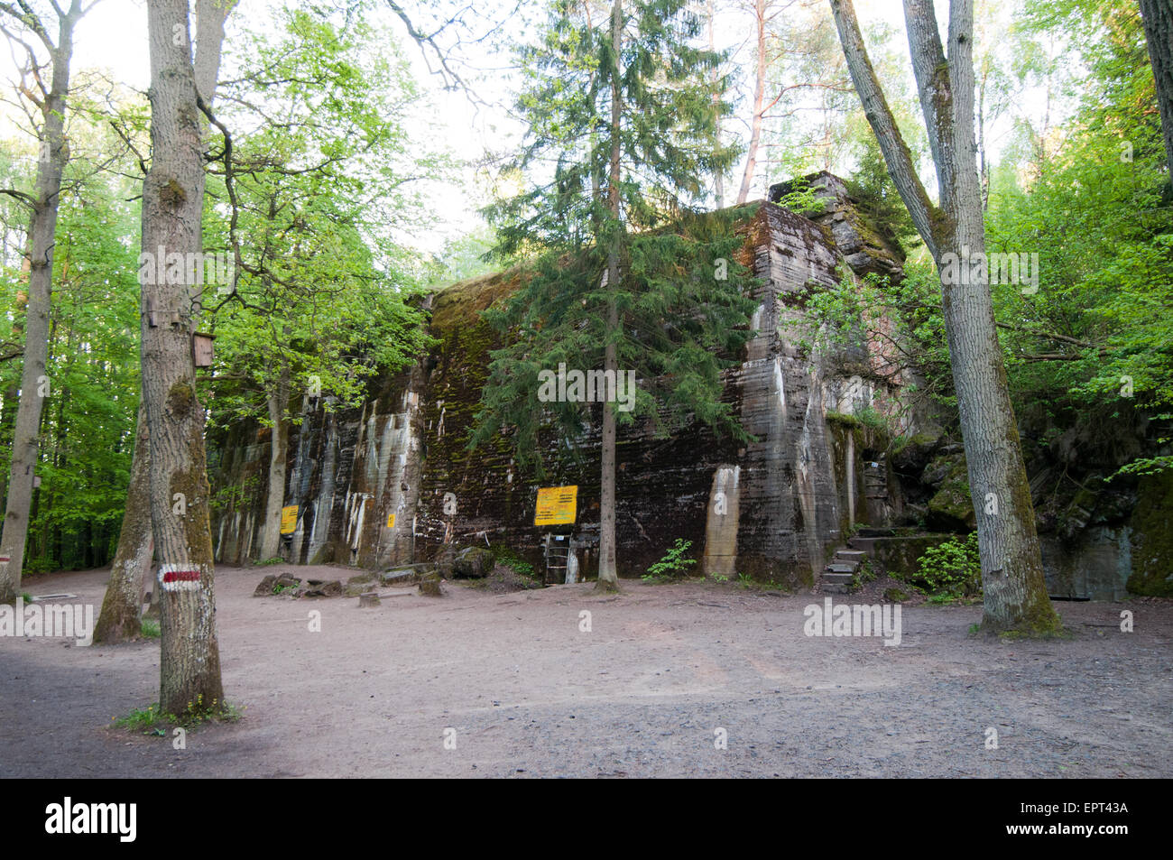 Bunker construit pour Adolf Hitler à la Wolf's Lair, son front de l'Est ...