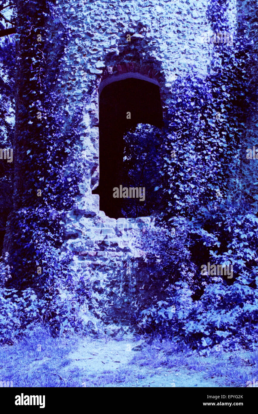 Racton tower Banque de photographies et d’images à haute résolution - Alamy