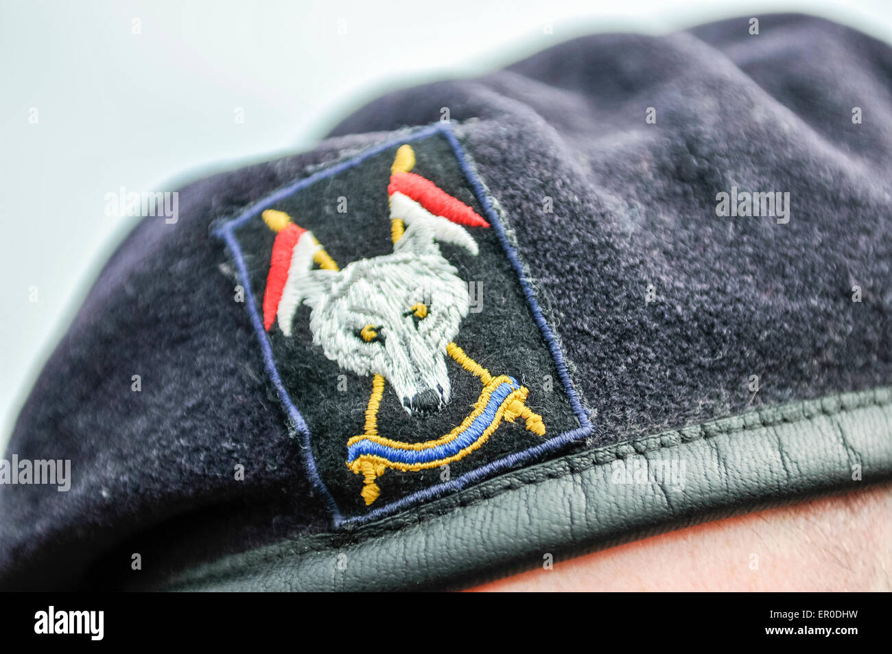 Military emblem army logo soldiers Banque de photographies et d’images ...