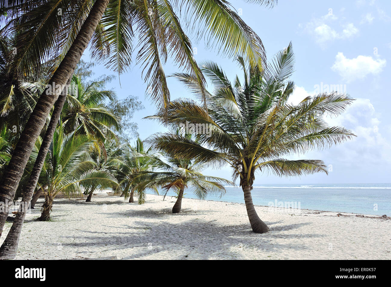 Plage de la côte est du Kenya Photo Stock - Alamy