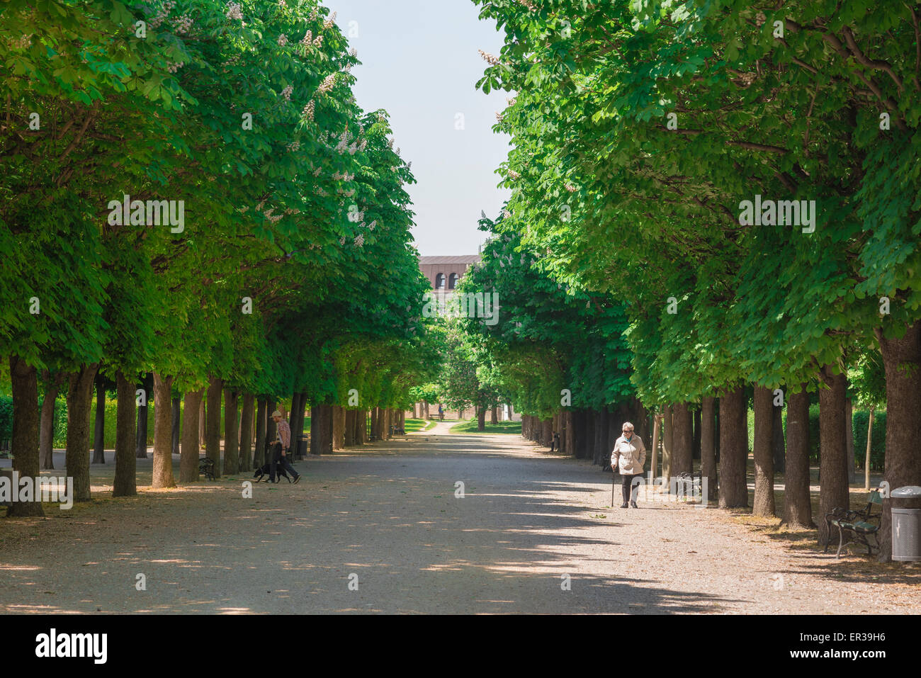 Vieille femme seule dans le parc Banque de photographies et d’images à ...