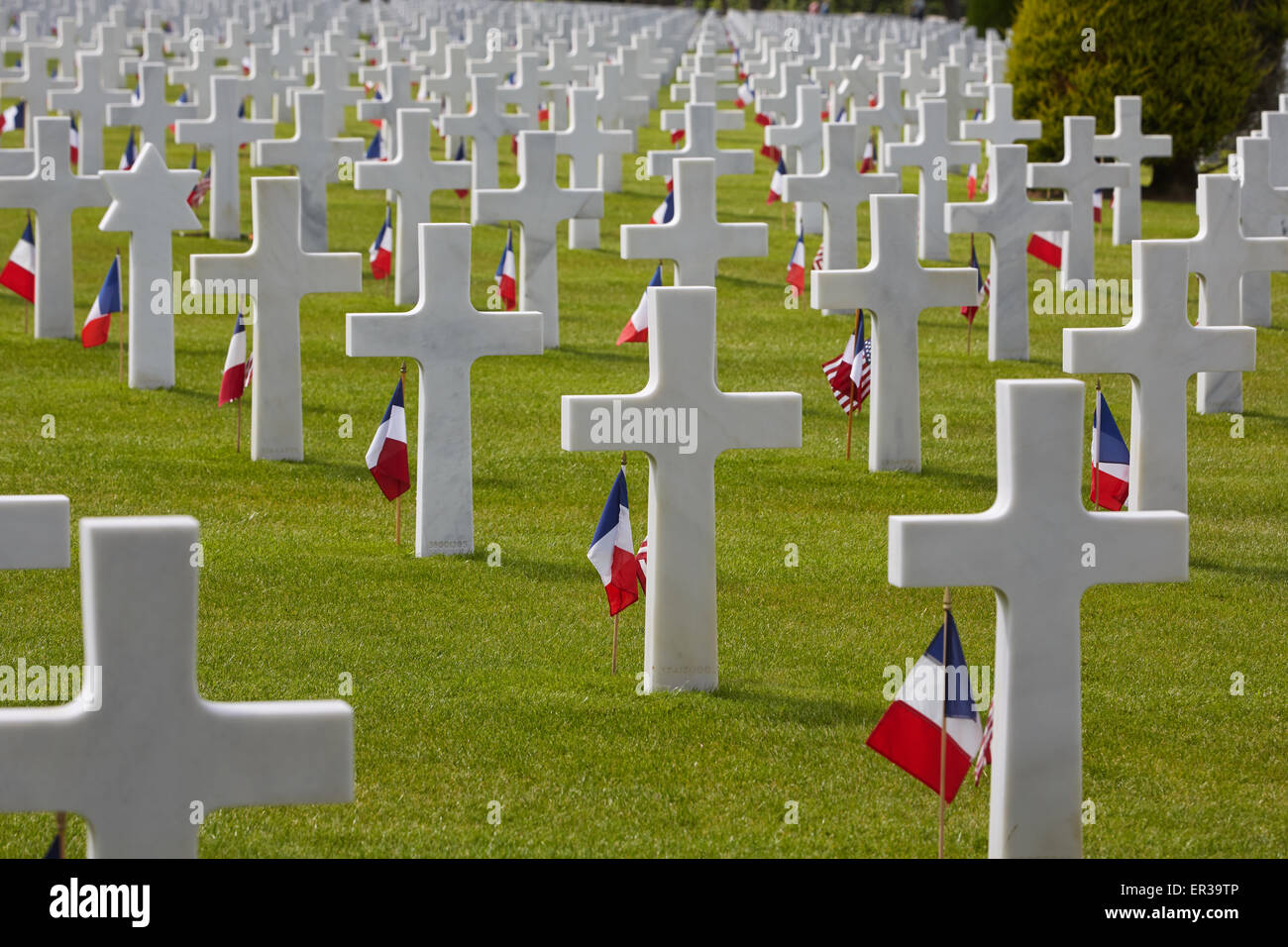 Cimetière américain de normandie Banque de photographies et d’images à ...