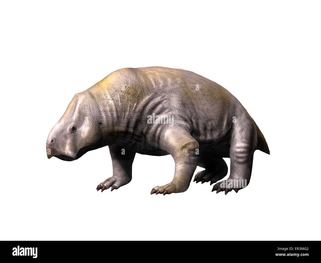 Dicynodont Banque de photographies et d’images à haute résolution - Alamy