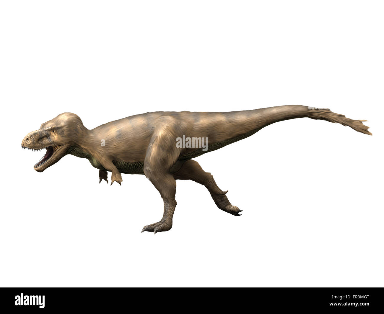 Side view tyrannosaurus rex dinosaur Banque de photographies et d’images à haute résolution - Alamy