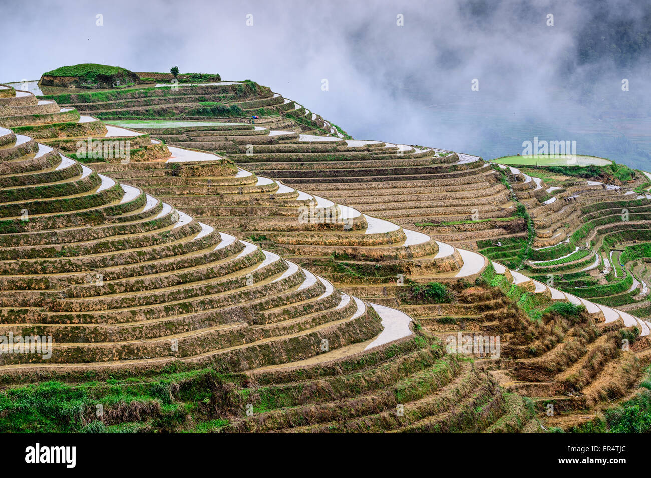 Yaoshan Mountain, Guilin, Chine rizières en terrasses à flanc de ...
