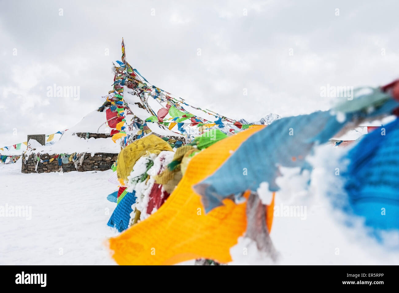 Tibetan flag Banque de photographies et d’images à haute résolution - Alamy