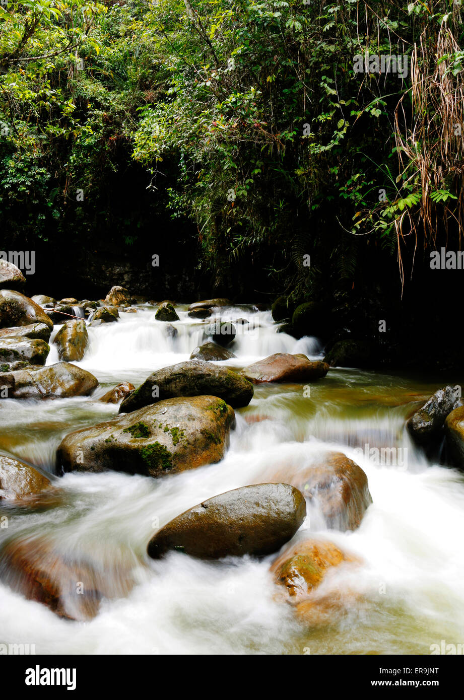 Belle rivière rocheuse Banque de photographies et d’images à haute ...