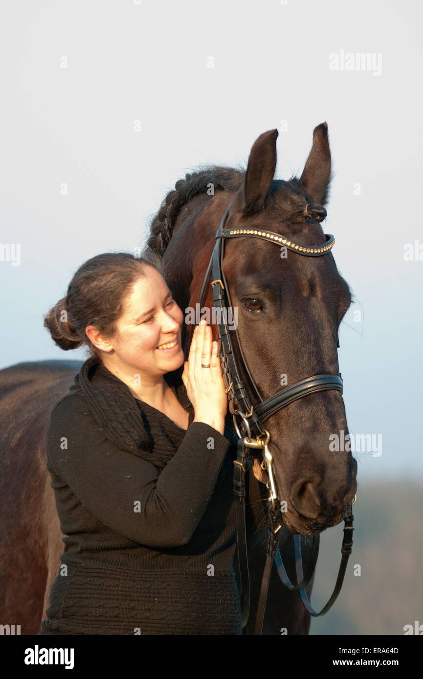 Cheval frison tresse Banque de photographies et d’images à haute ...
