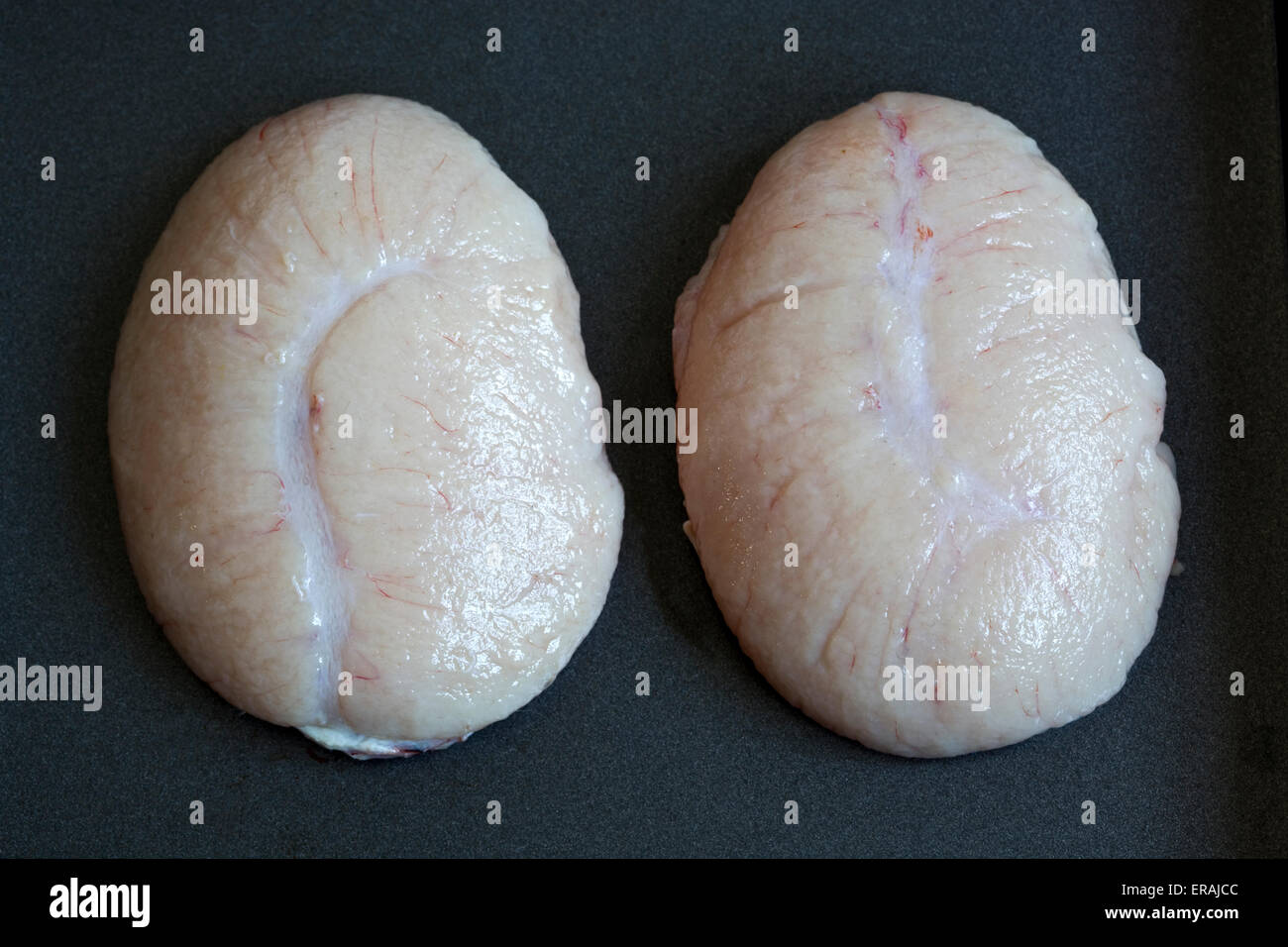 Les Testicules Banque De Photographies Et Dimages à Haute Résolution