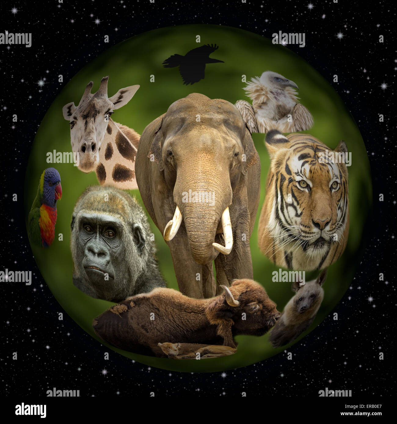 La planète Terre avec des animaux dans l'Univers, concept illustration ...