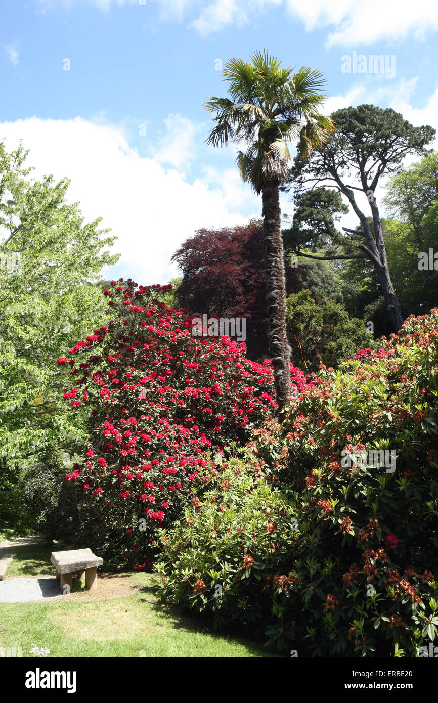 Mawnan smith Banque de photographies et d’images à haute résolution - Alamy