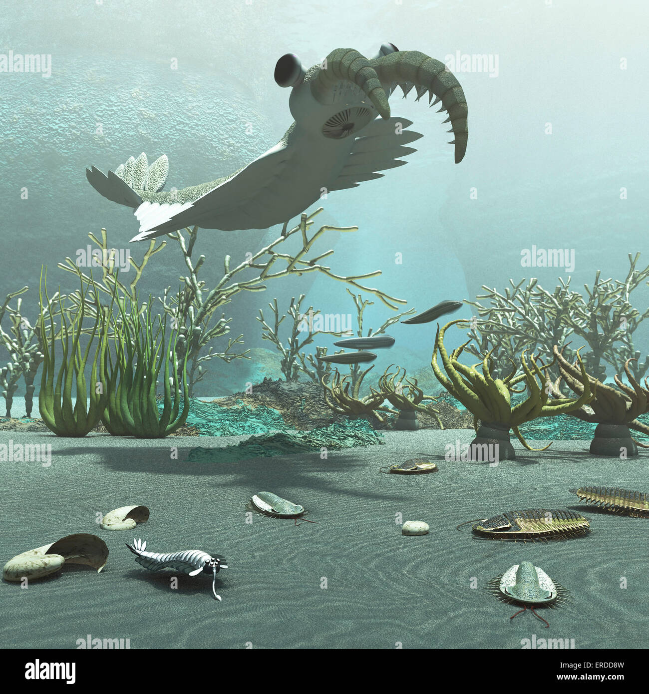 Cambrian period animal Banque de photographies et d’images à haute ...